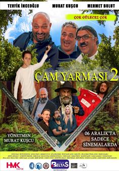 ÇAM YARMASI 2